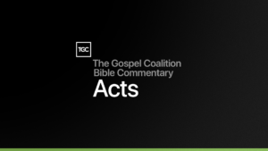 Best Commentaries on Acts - The Gospel Coalition