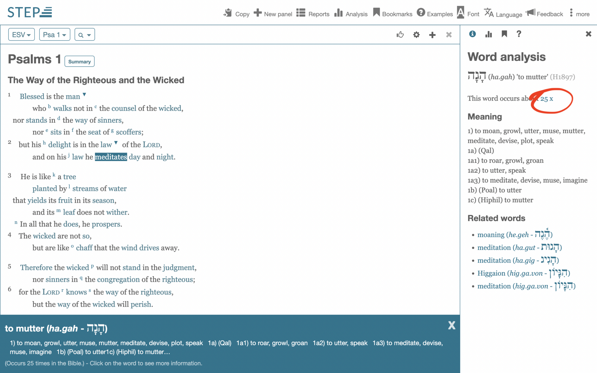 6 Steps for Biblical Word Studies