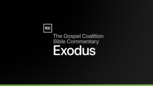 Best Commentaries on Exodus - The Gospel Coalition