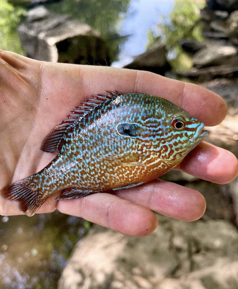 Friends Help Their Friends Finish Well