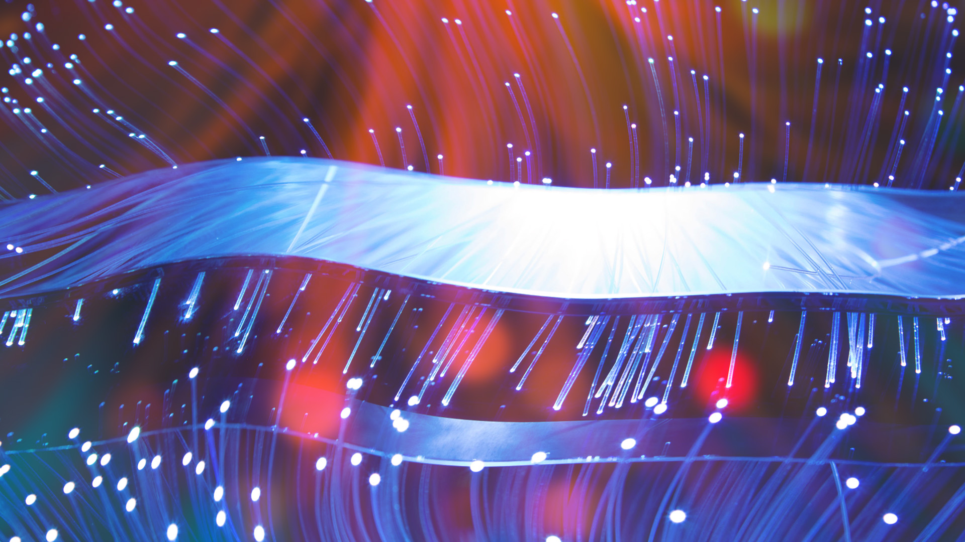 6 Ways Digital Technology Deforms Us