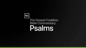 Best Commentaries on Psalms - The Gospel Coalition
