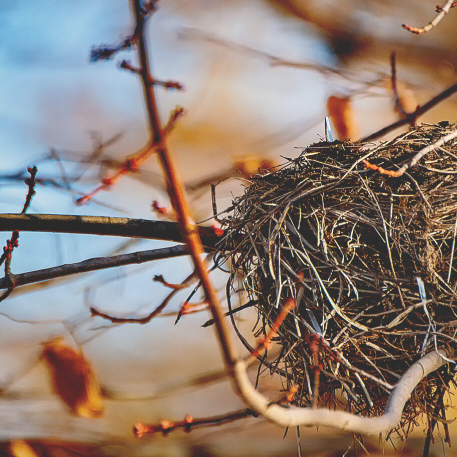 What ‘Deist’ Meant to Thomas Jefferson