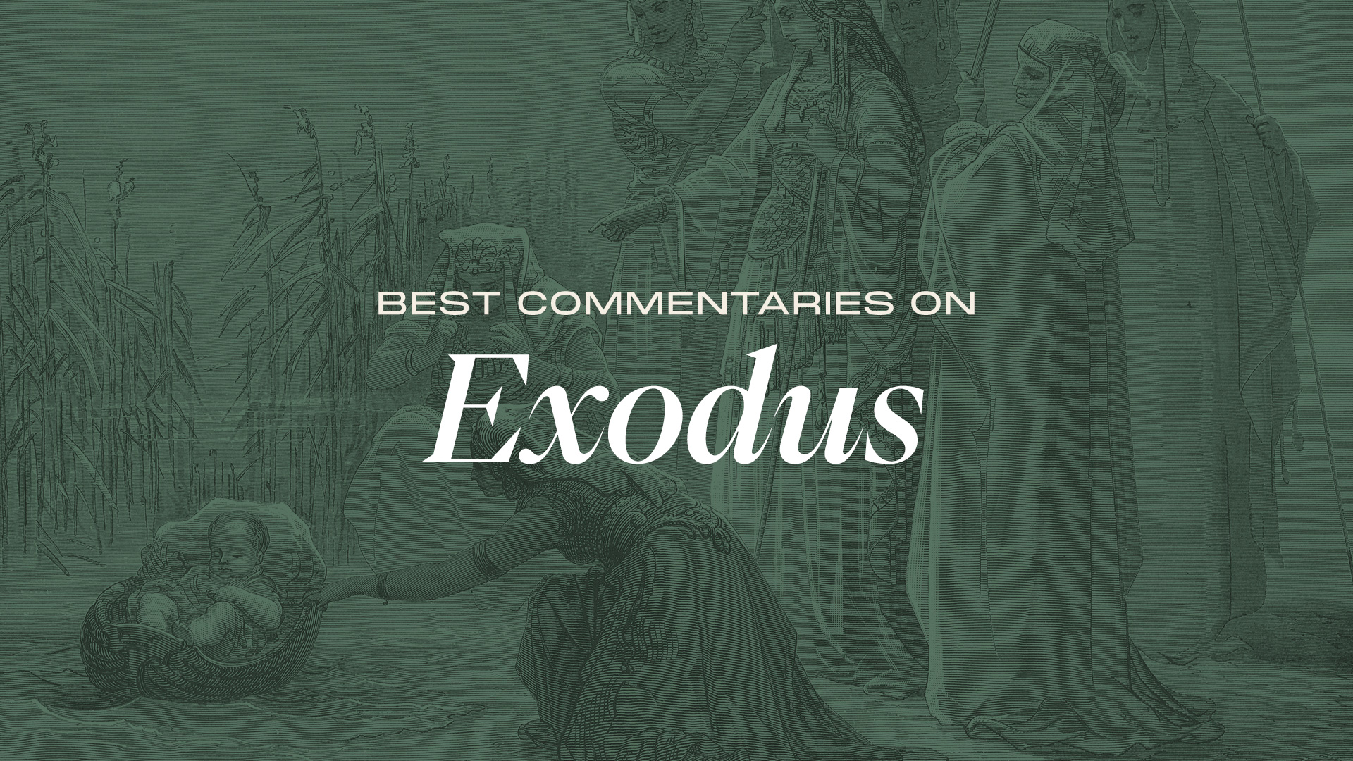 Best Commentaries on Exodus - The Gospel Coalition