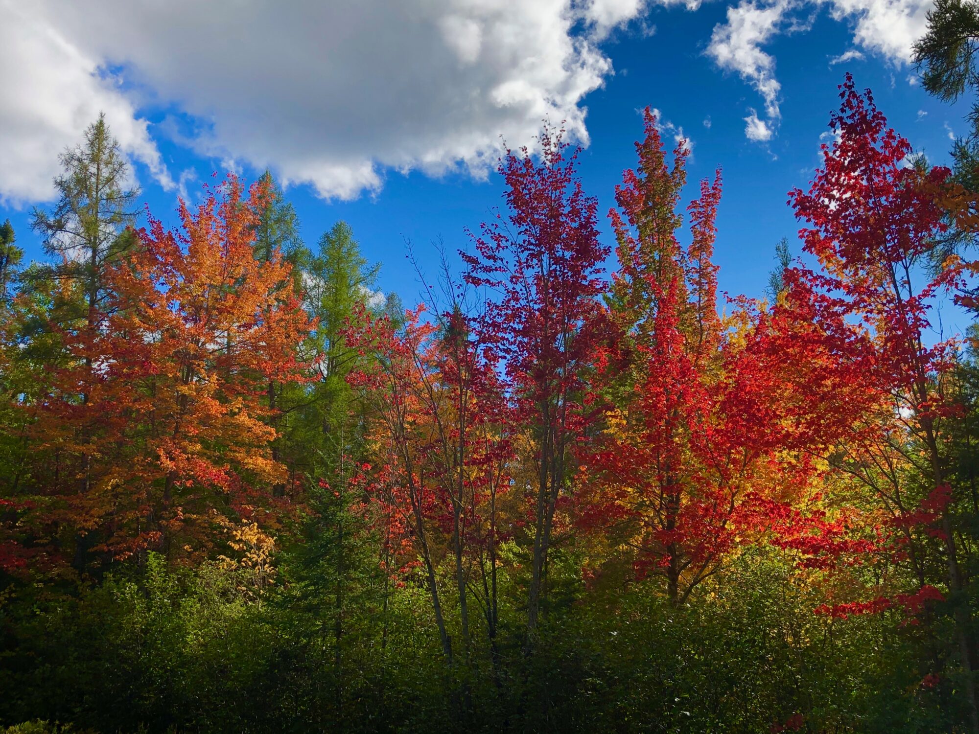 Why 26 Is A Very Awesome Number