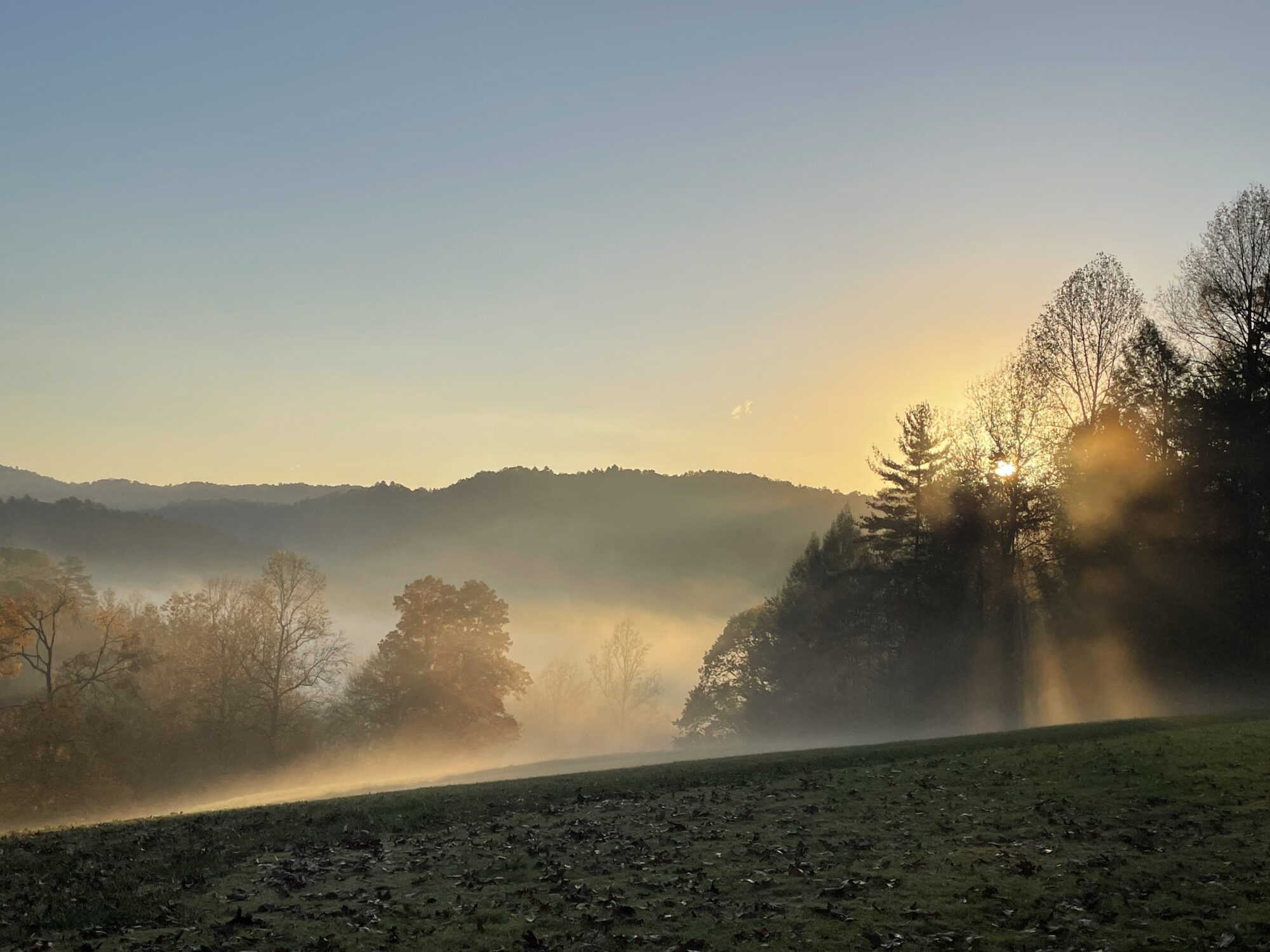 Jesus Is the Source and Meaning of All Beauty