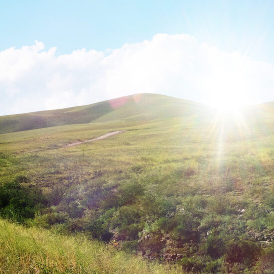 Did Jesus Have a Fallen Human Nature?