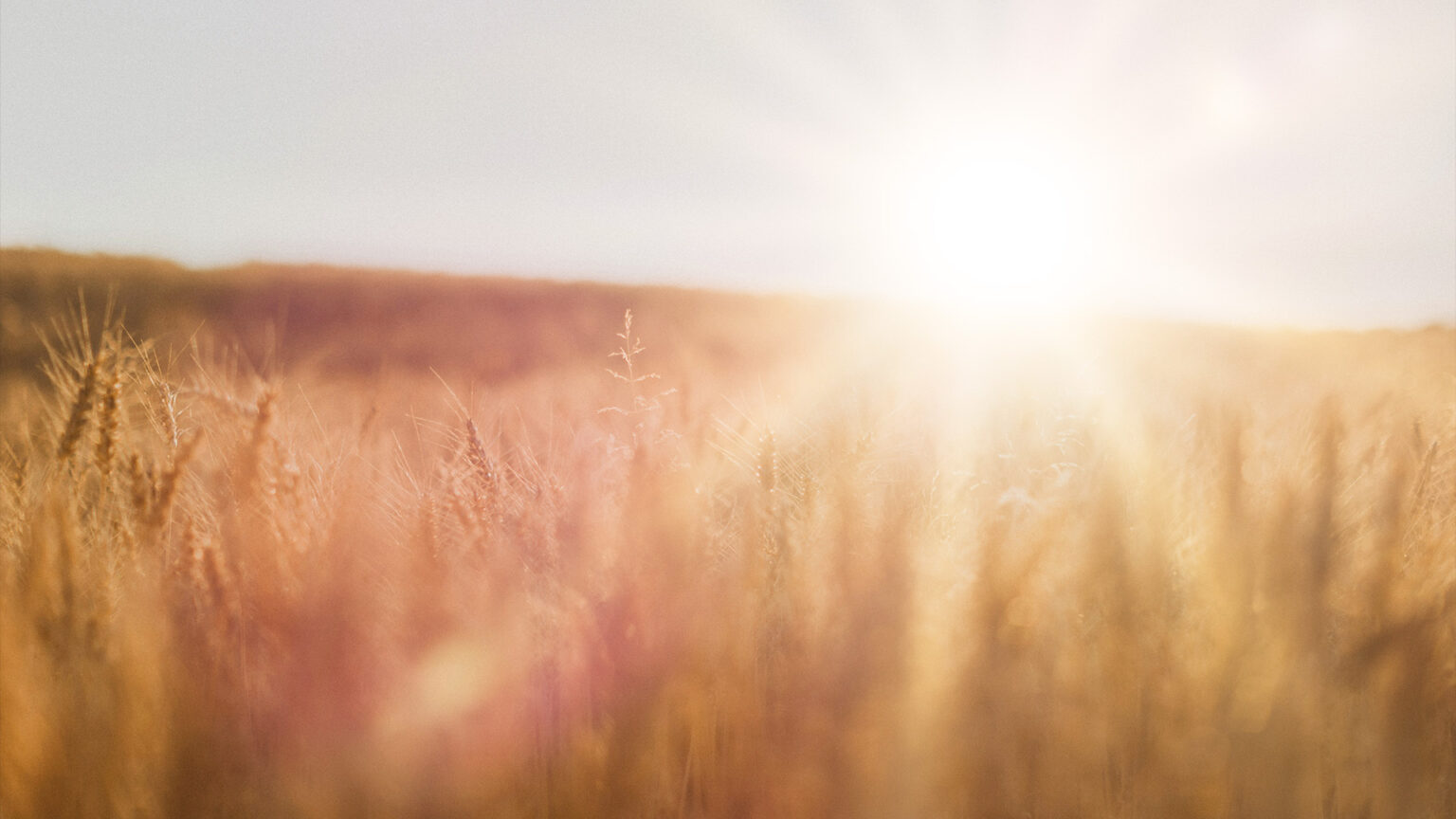 How to Wait for Jesus (Part 1): Vigilance in Waiting