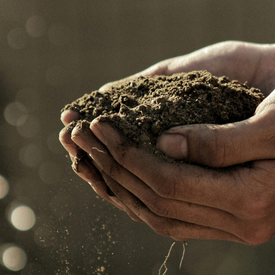 Why Does God Restore Job?