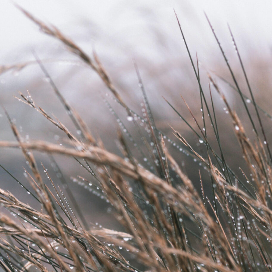 Feast of Trumpets: How Rosh Hashana Prepares Us to Meet God