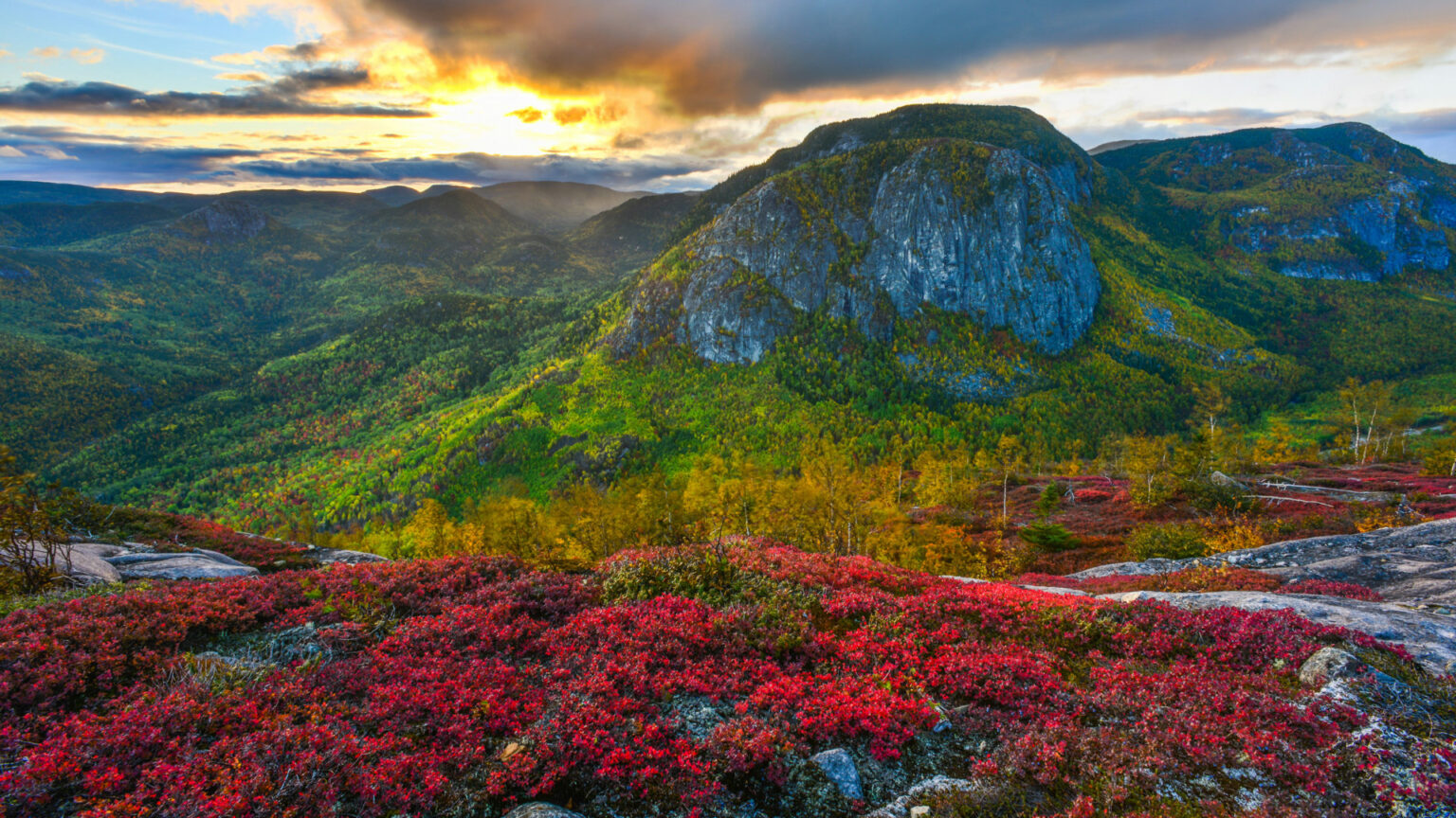 The Simplest Way to Understand the Trinity