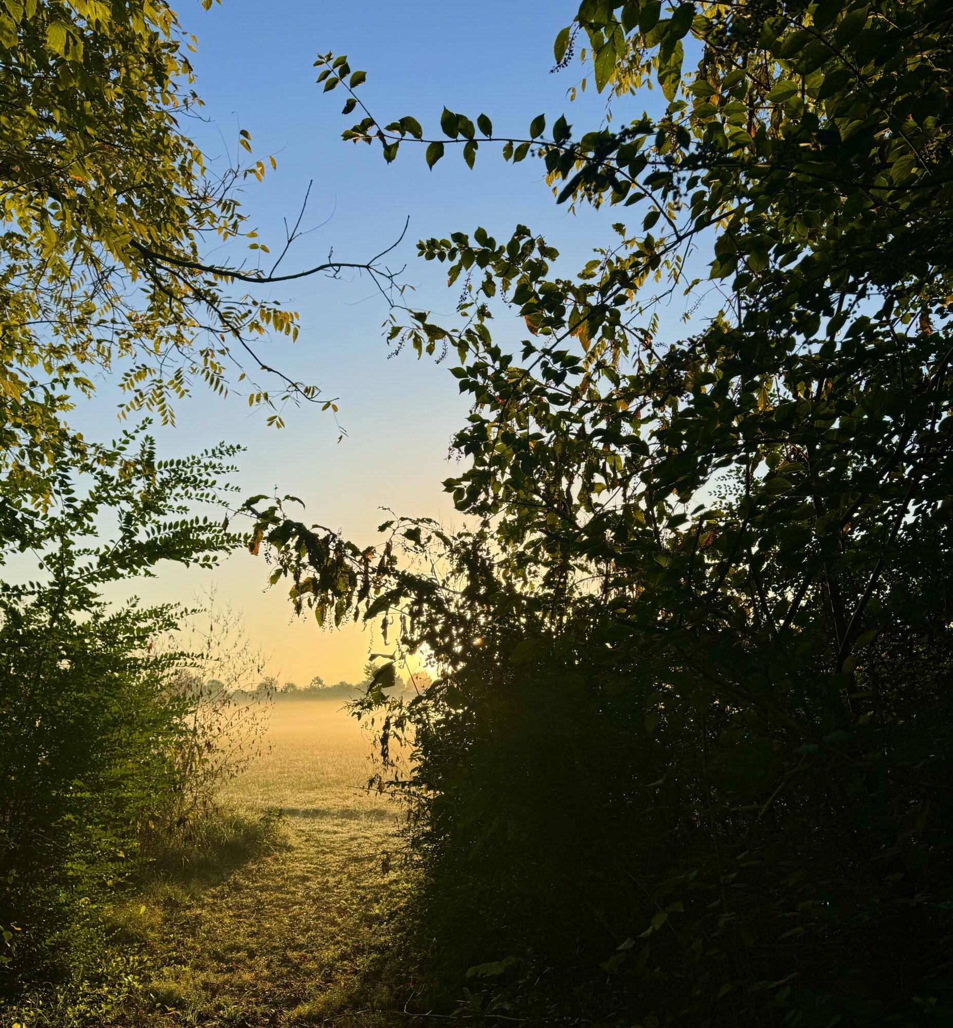 Everything Beautiful, Bodacious, and Unbreakable