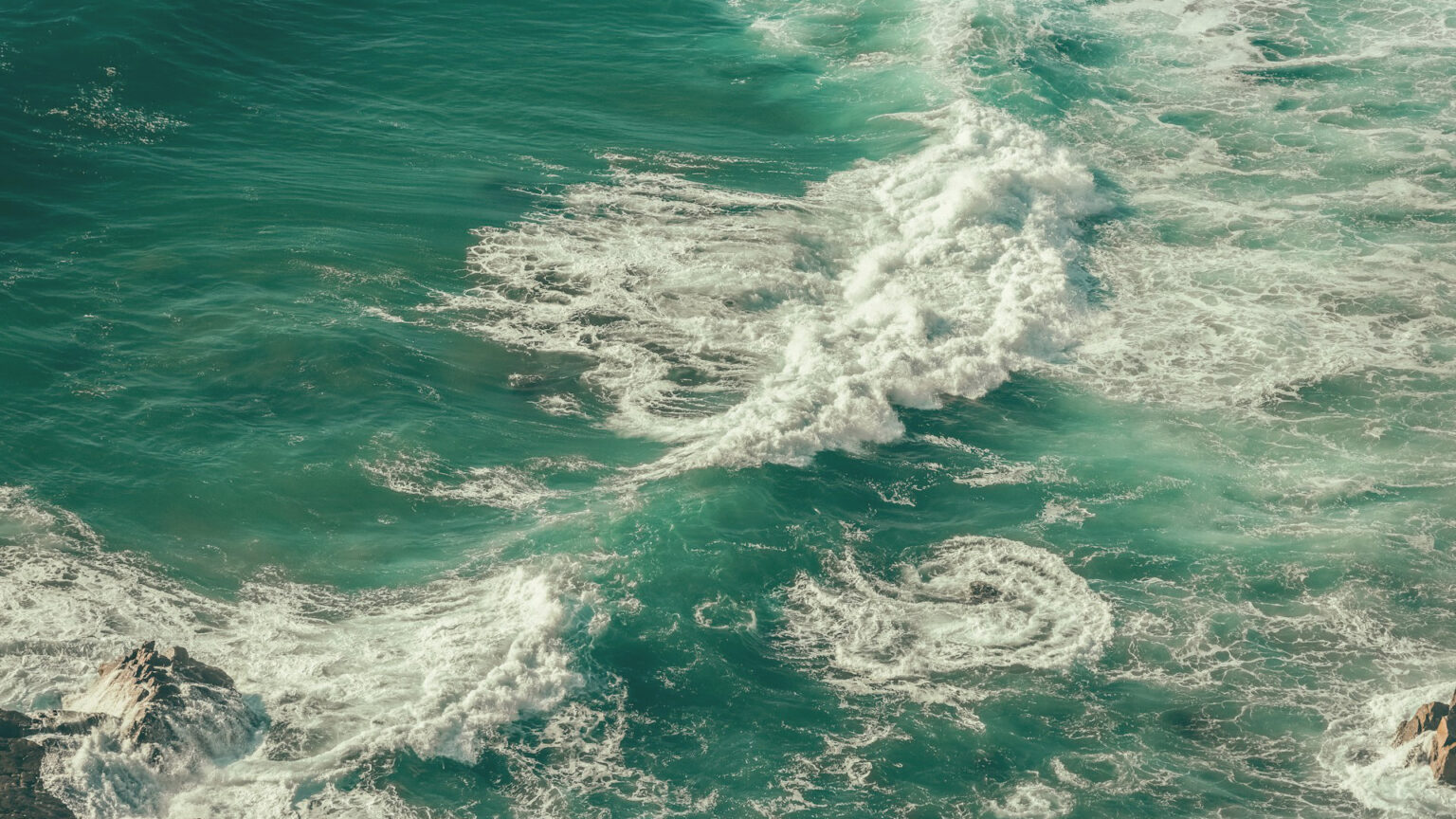 Finding Joy in the Midst of Persecution: Insights from Acts 5