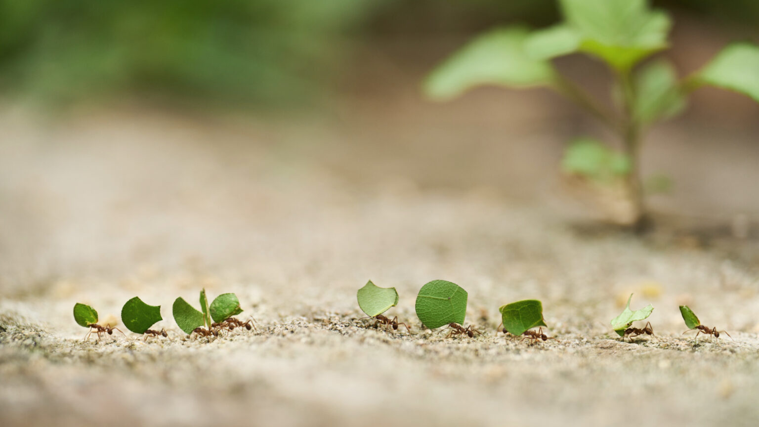 9 Things You Should Know About Secular Humanism