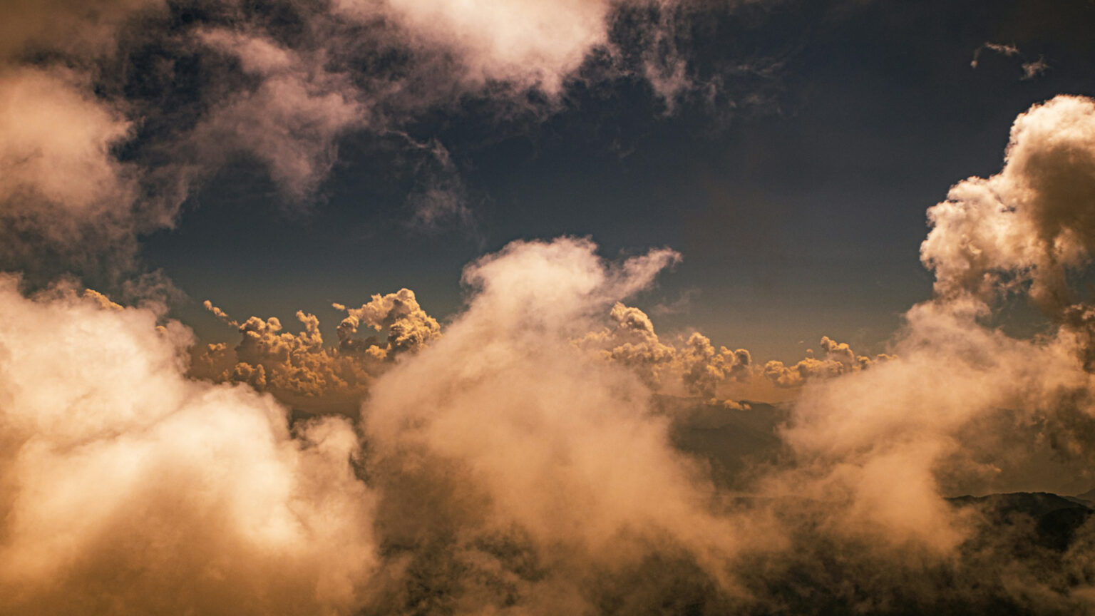 Finding Joy in the Midst of Persecution: Insights from Acts 5