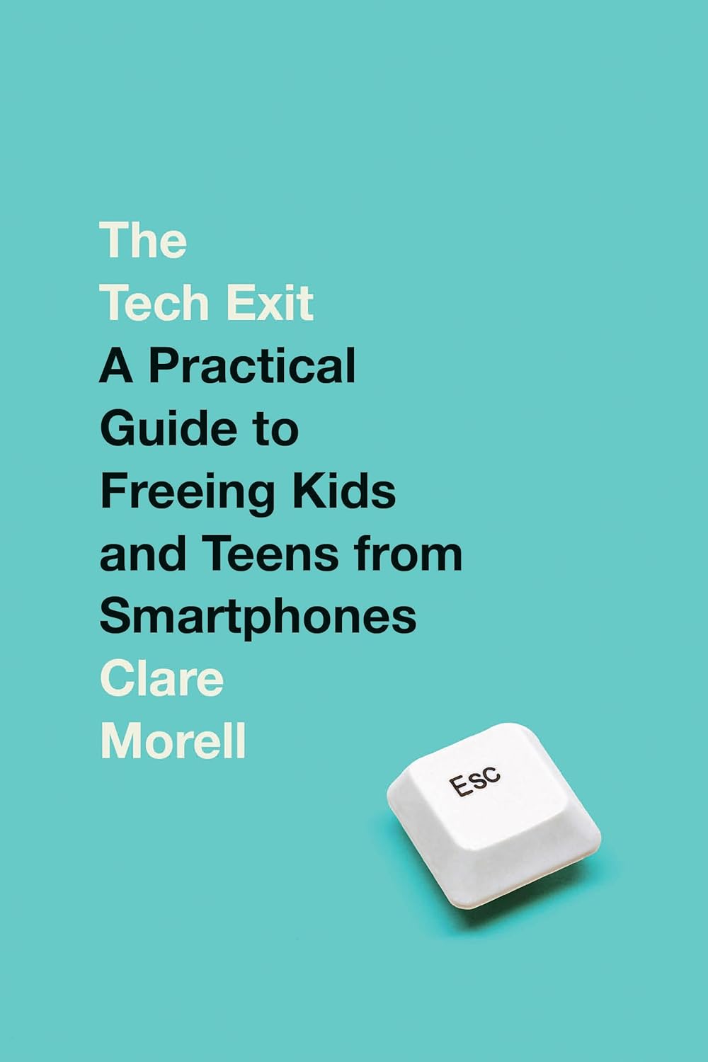 Review: ‘The Tech Exit’ by Clare Morell
