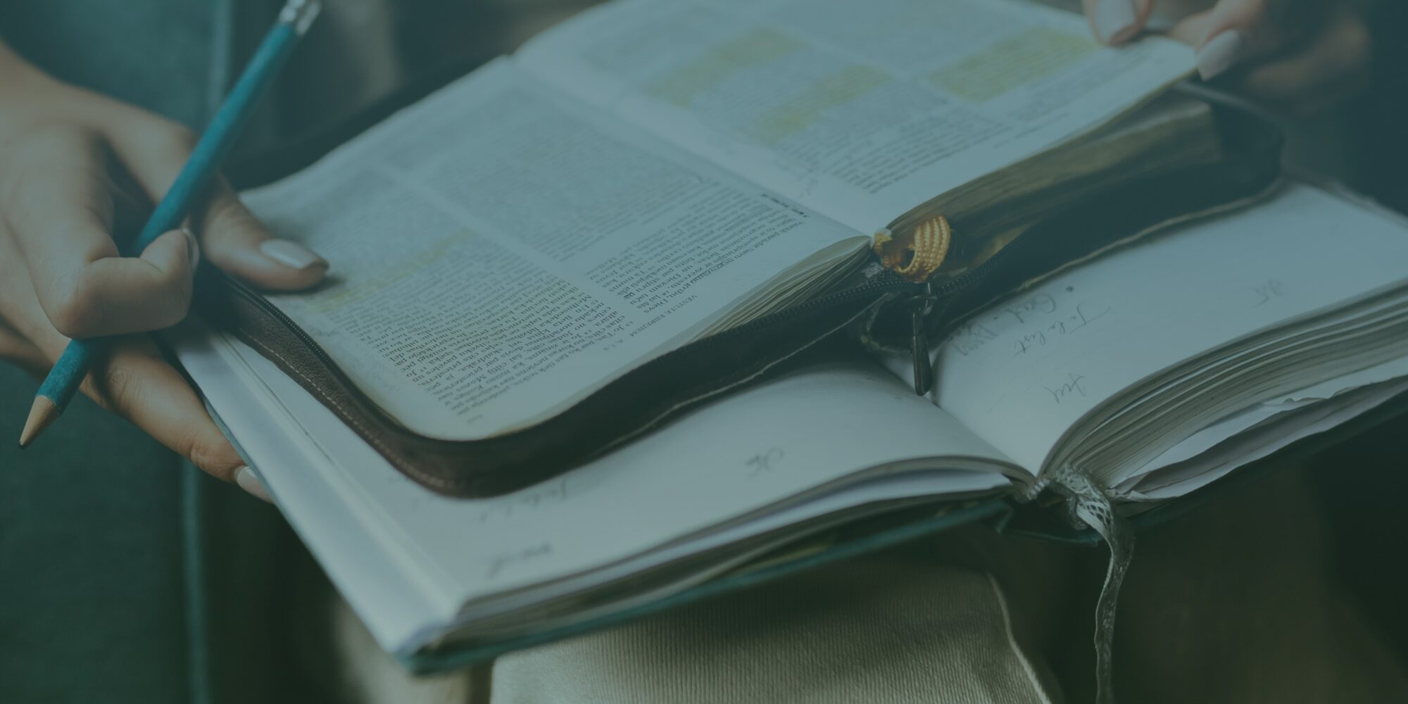 Christ-Centered Teaching Women's Cohort - The Gospel Coalition