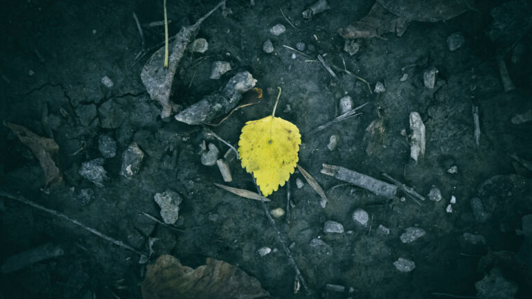 Victory Through Suffering: The True Meaning of Philippians 4:13