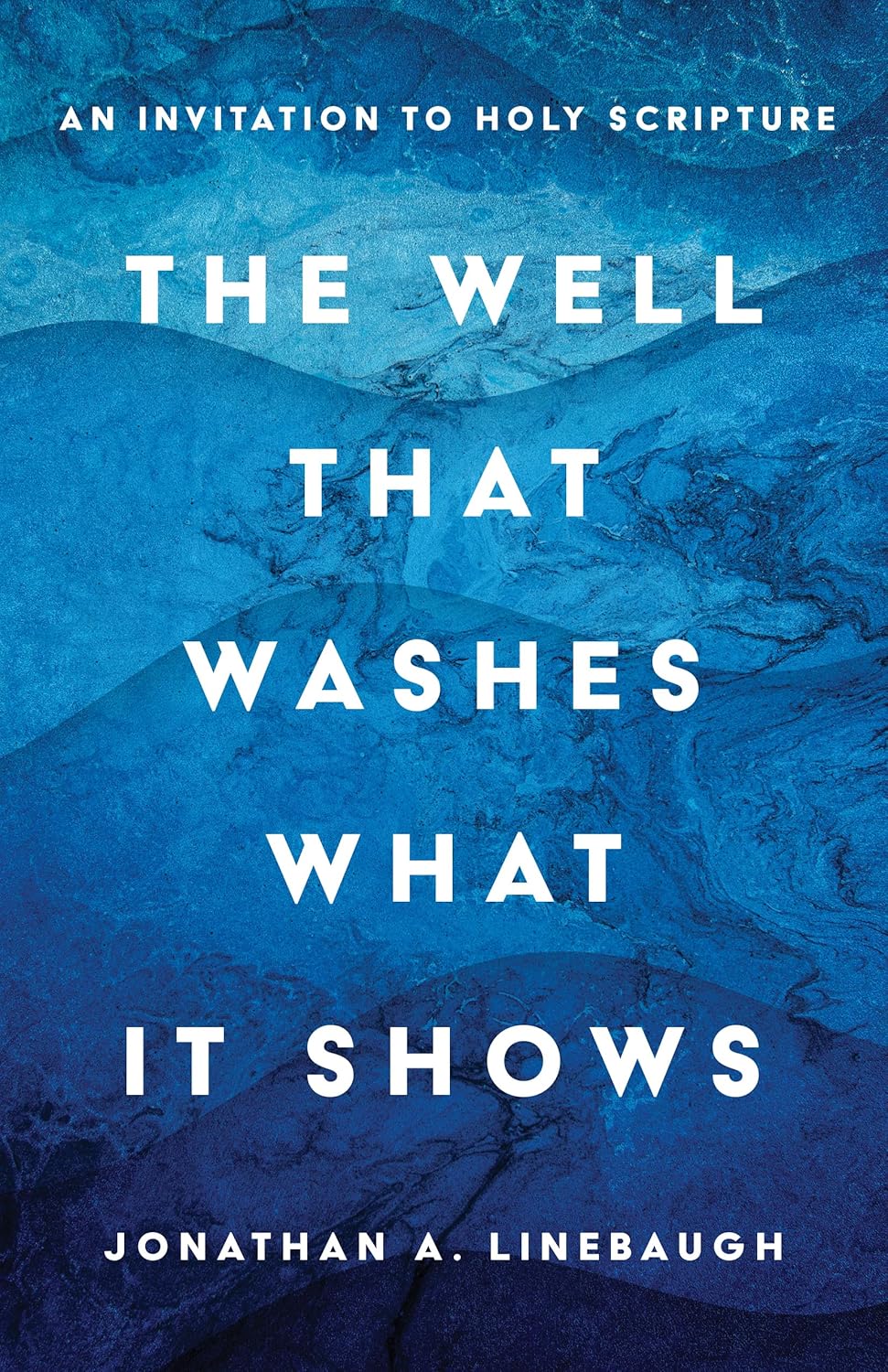 Review: ‘The Well That Washes What It Shows’ by Jonathan Linebaugh