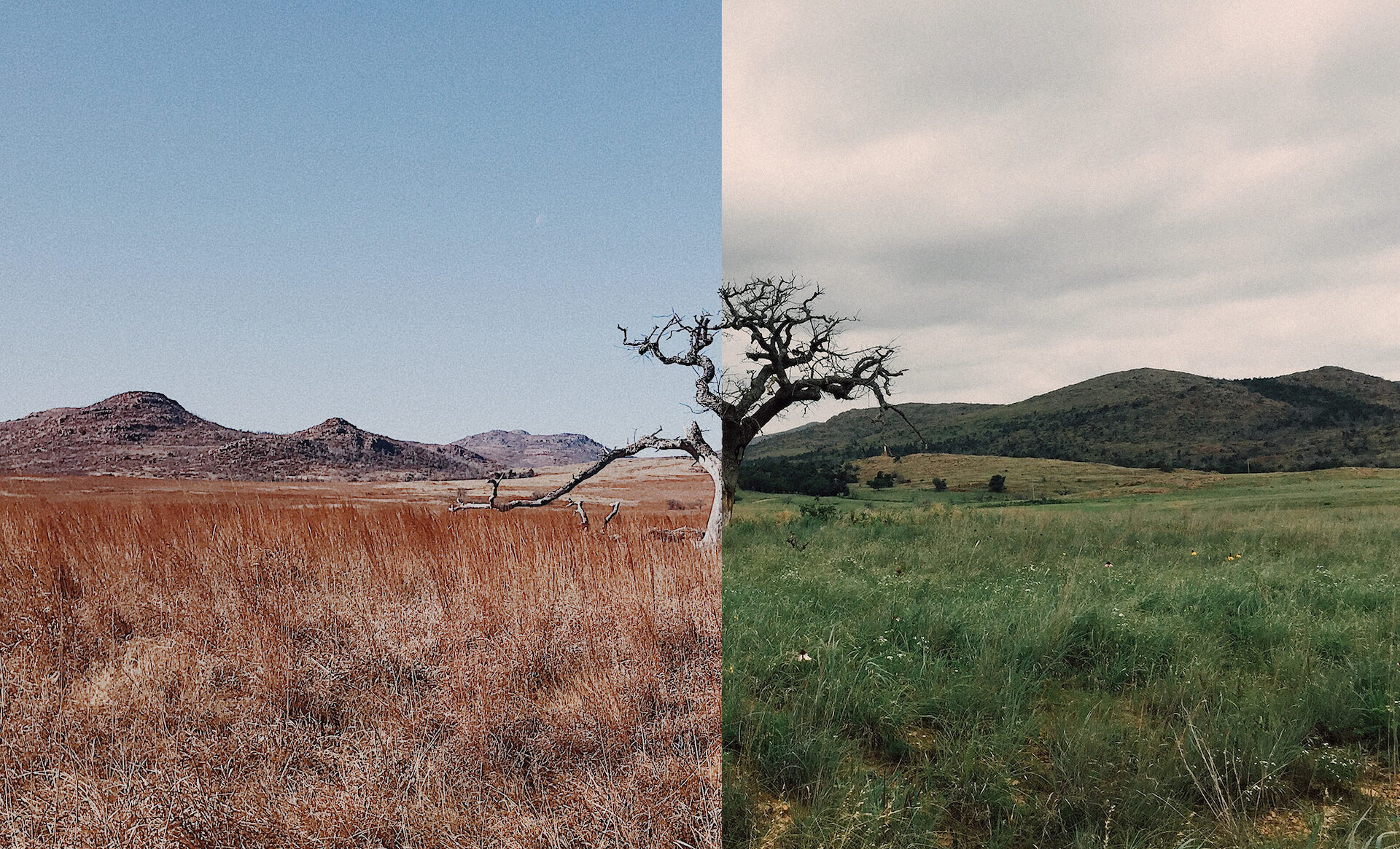 Learning to See People Change - The Gospel Coalition | India