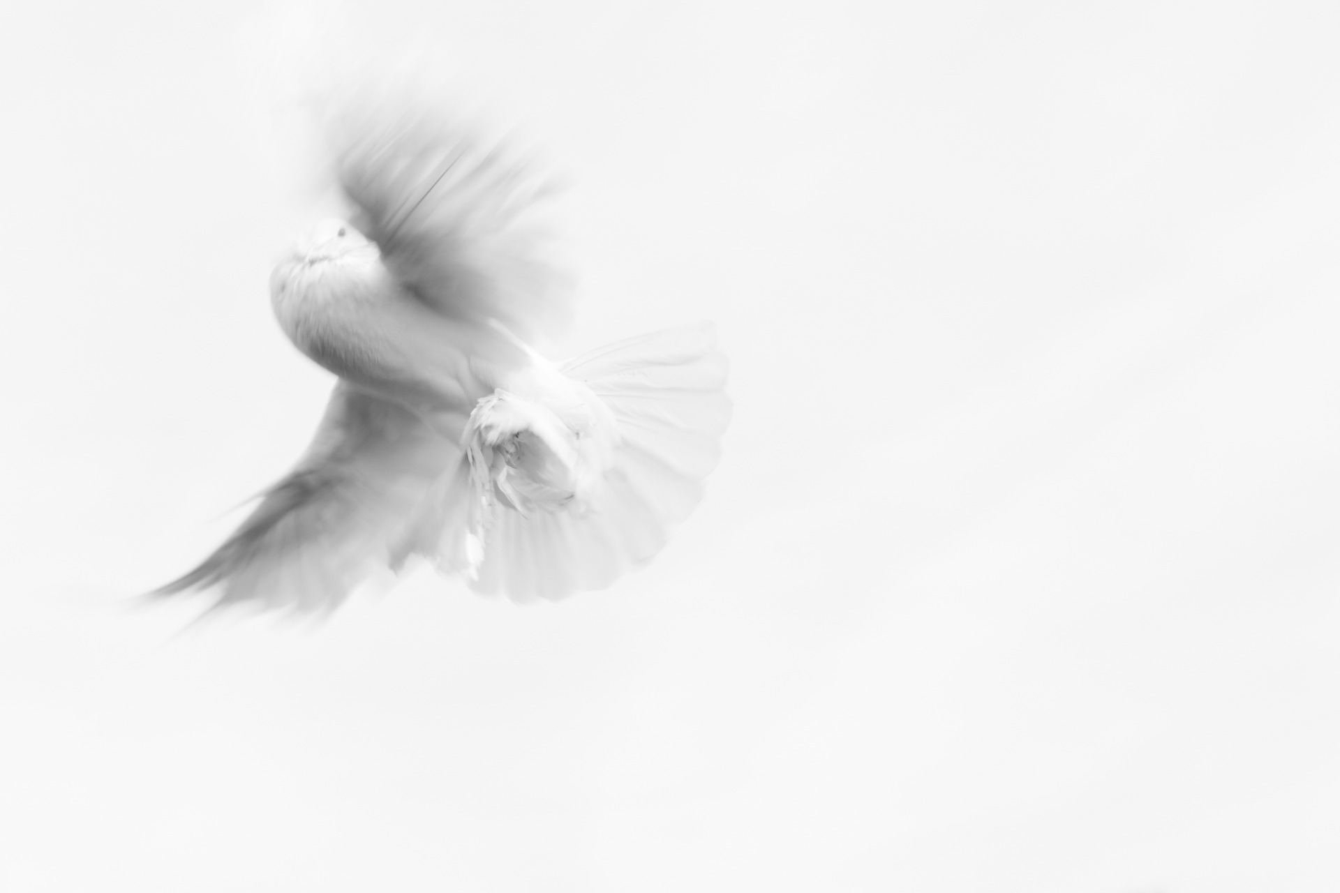 The Holy Spirit | The Forgotten Lord and Giver of Life - The Gospel ...