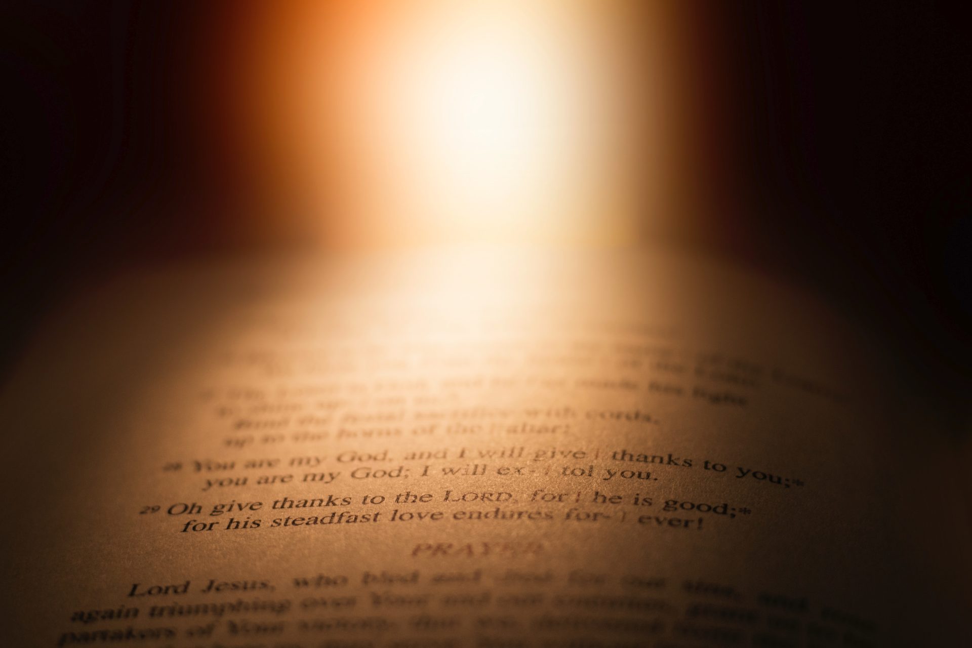 Meditation on the Scriptures: The Key to Personal Transformation - The ...