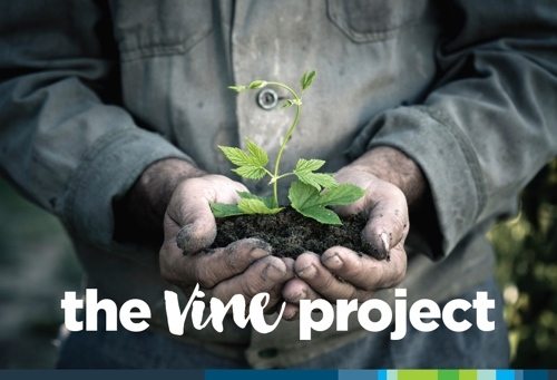 Three Unusual Things About the “The Vine Project” by Tony Payne and Col ...