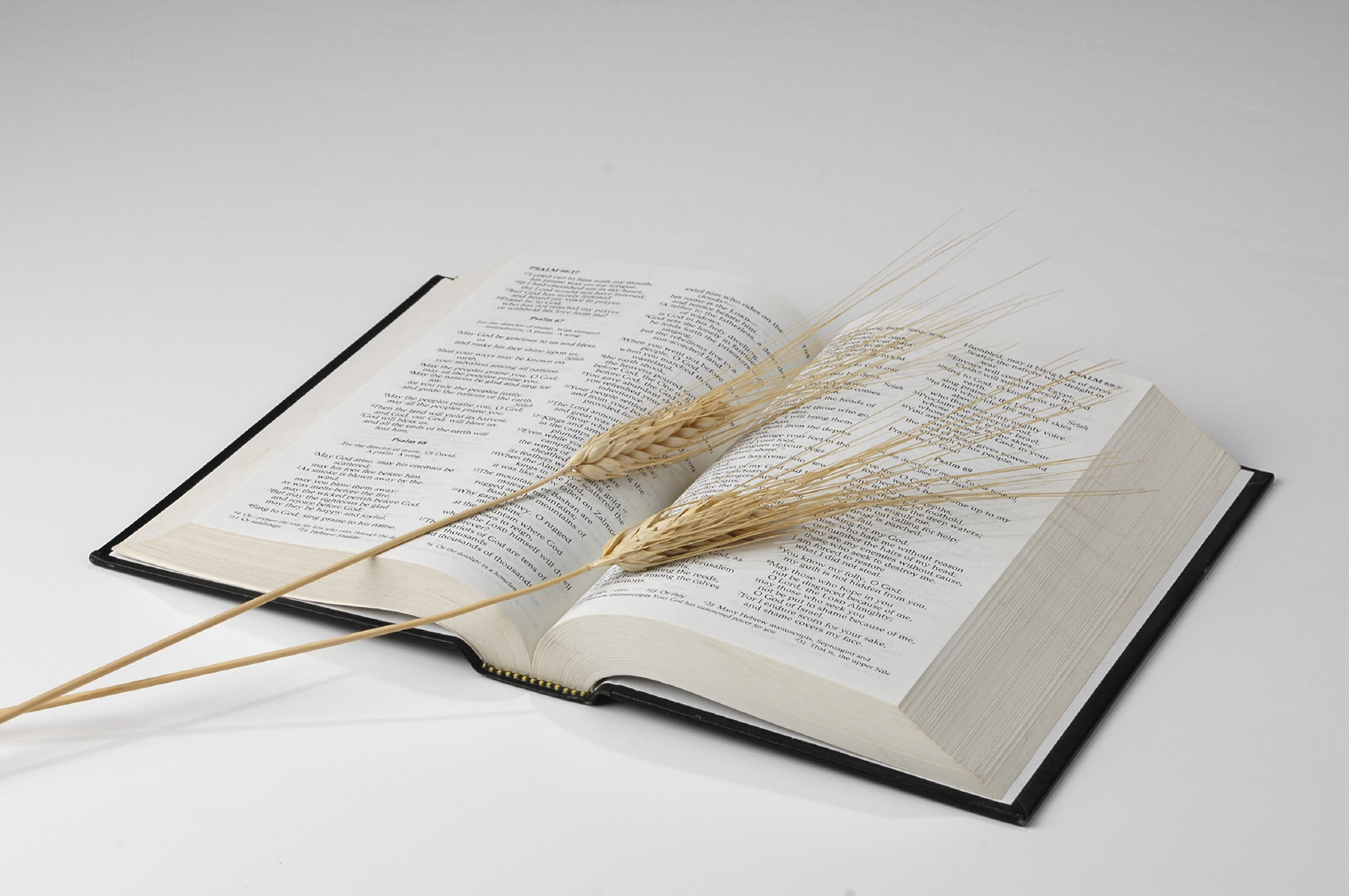 ‘Sola Scriptura’ – The Bible Alone - The Gospel Coalition | Australia