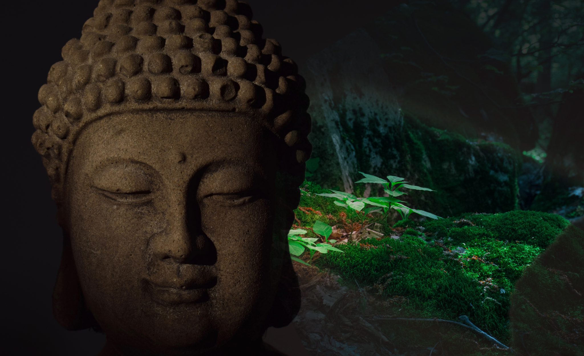 Jewellery Jesus or Genuine Jesus - The Gospel Coalition | Australia