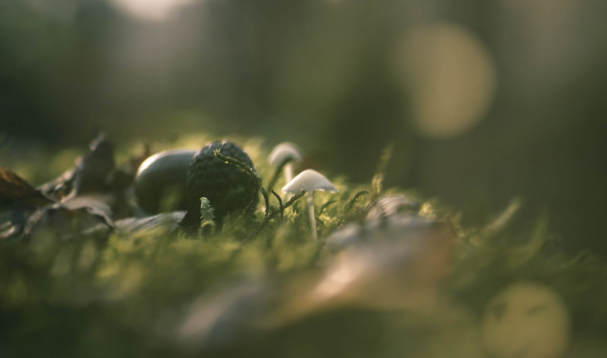 Vulnerable and Invincible, Weak and Powerful: The Dilemma of Christian ...