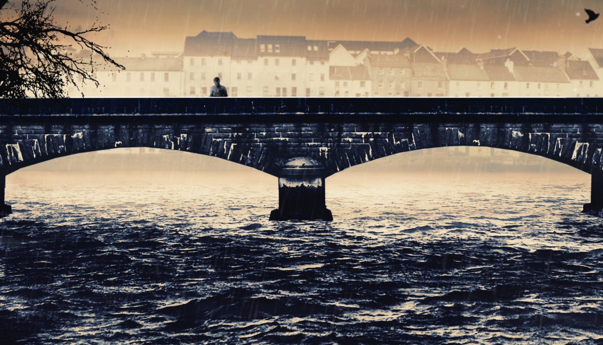 My Year in Books – Alistair Bain - The Gospel Coalition | Australia