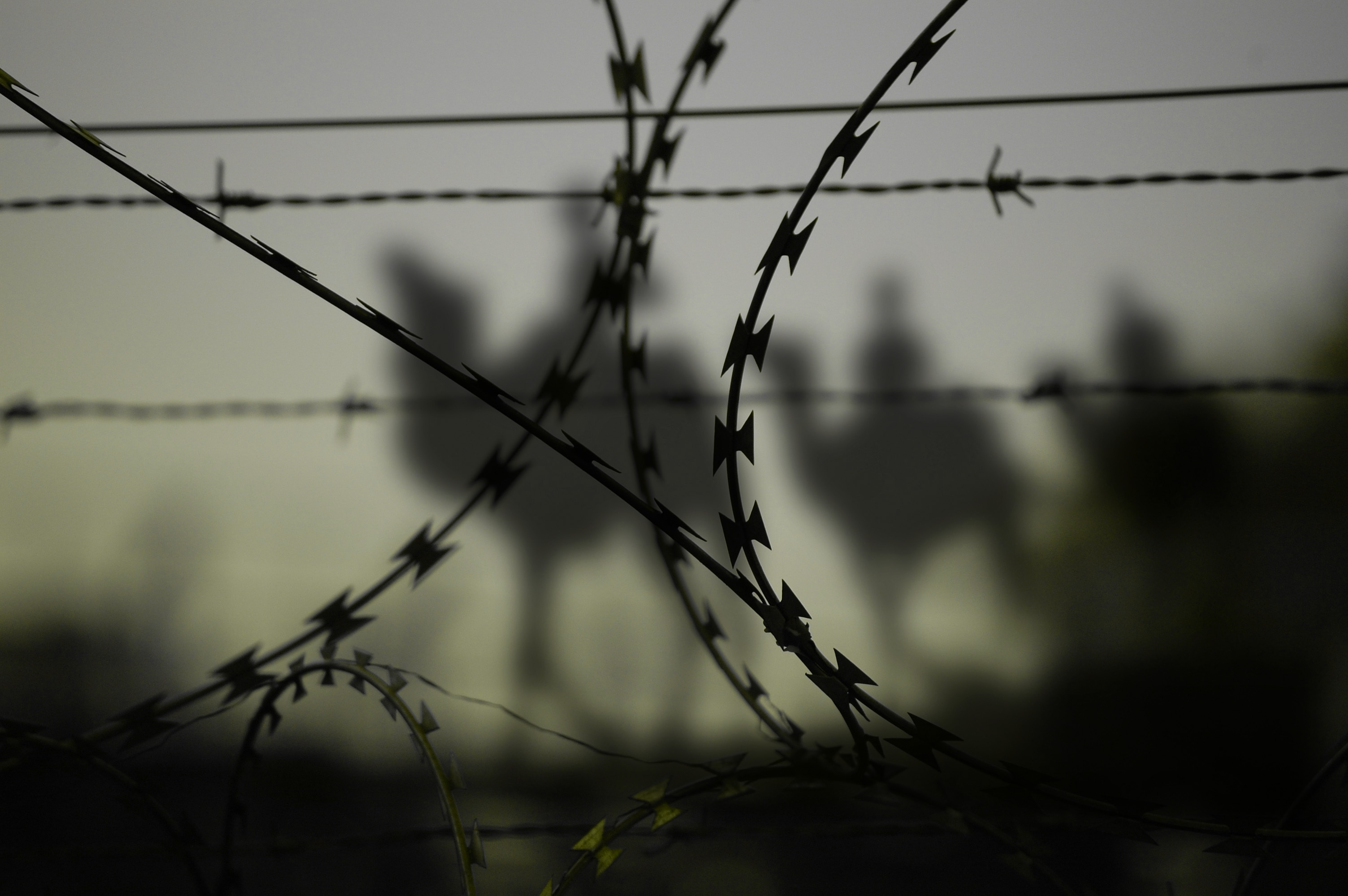 Herod and the Magi: A Tale of Outsiders - The Gospel Coalition | Australia