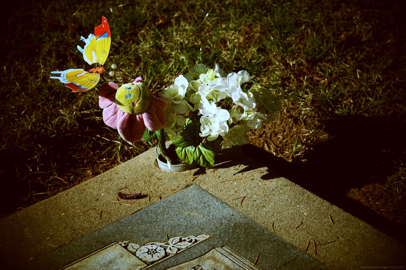 The Cross that Changes Everything - The Gospel Coalition | Australia