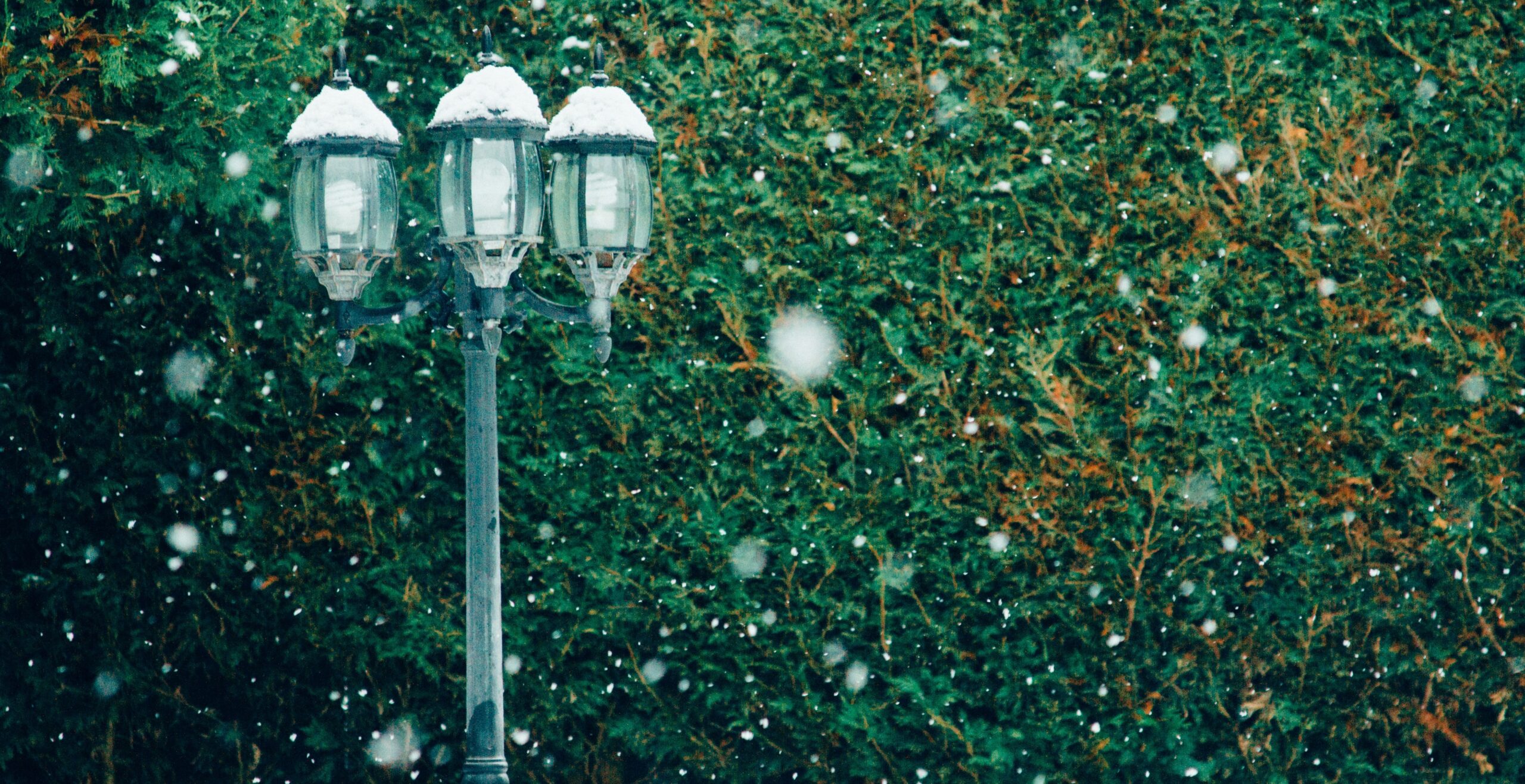 Lessons from the World of Narnia - The Gospel Coalition | Australia