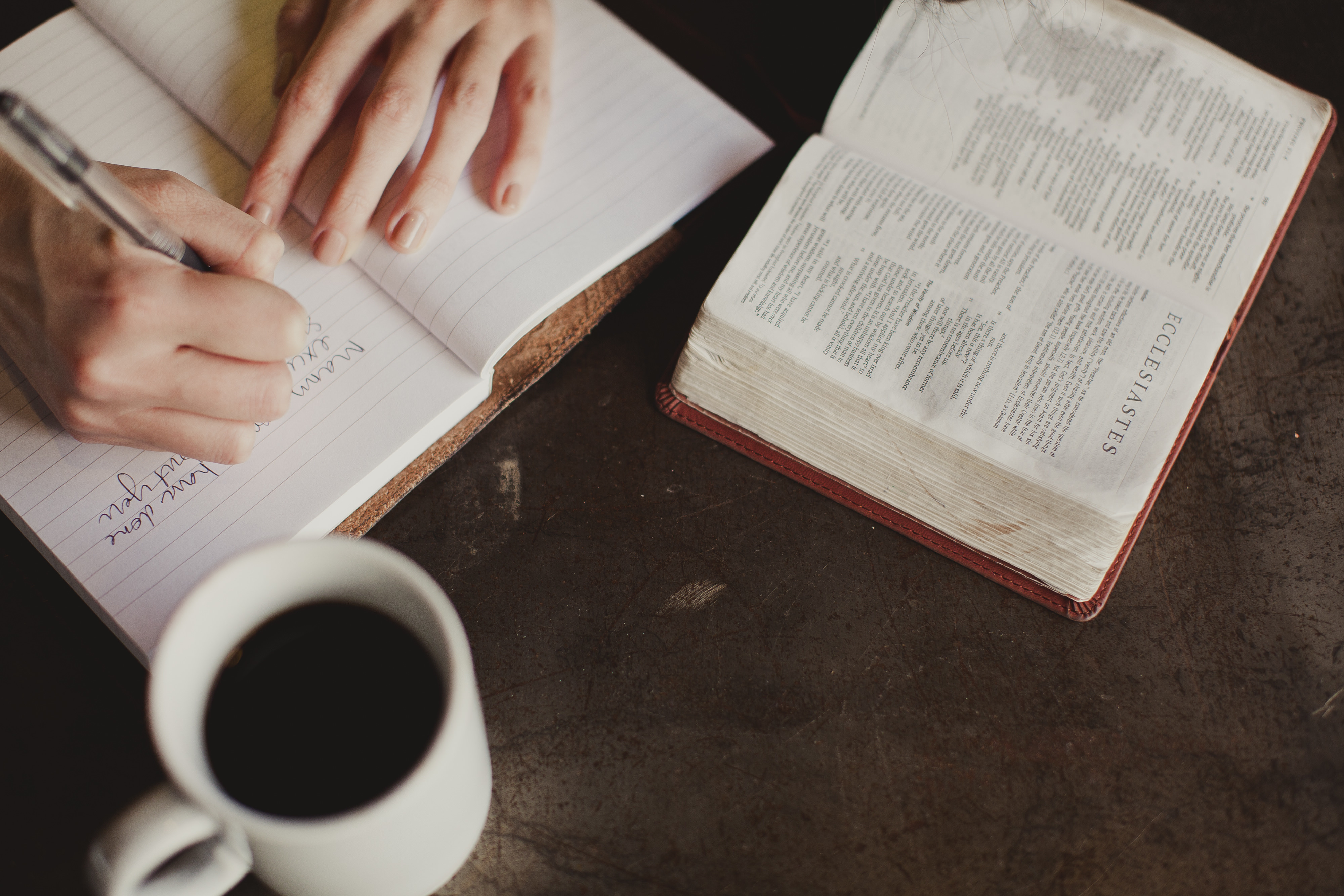 Amando y conociendo profundamente la Palabra de Dios | Coalición por el ...