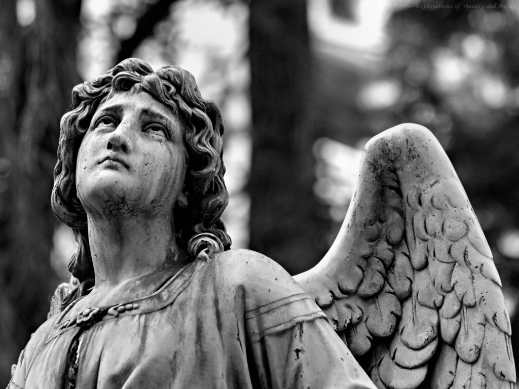 Ángeles | Reflexión | Coalición por el Evangelio