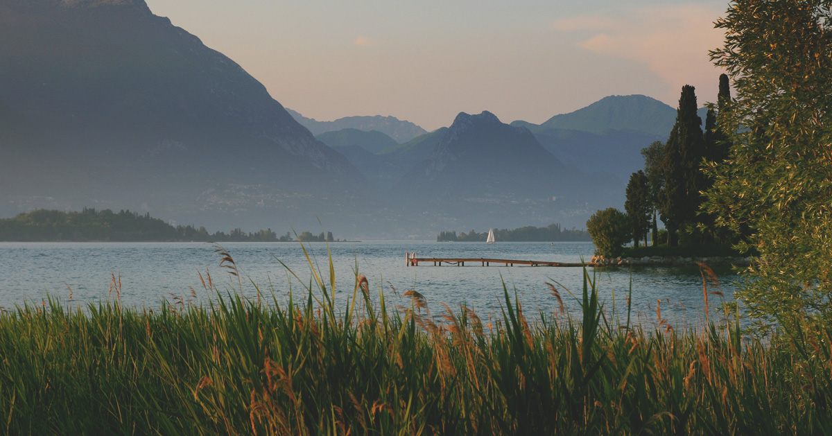 Gemir | Devocional | Coalición por el Evangelio