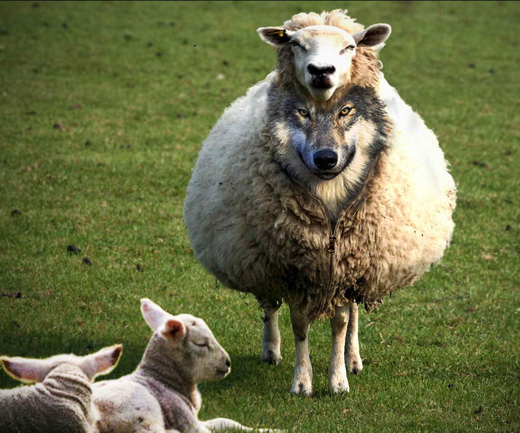 7 rasgos de los falsos maestros | Coalición por el Evangelio