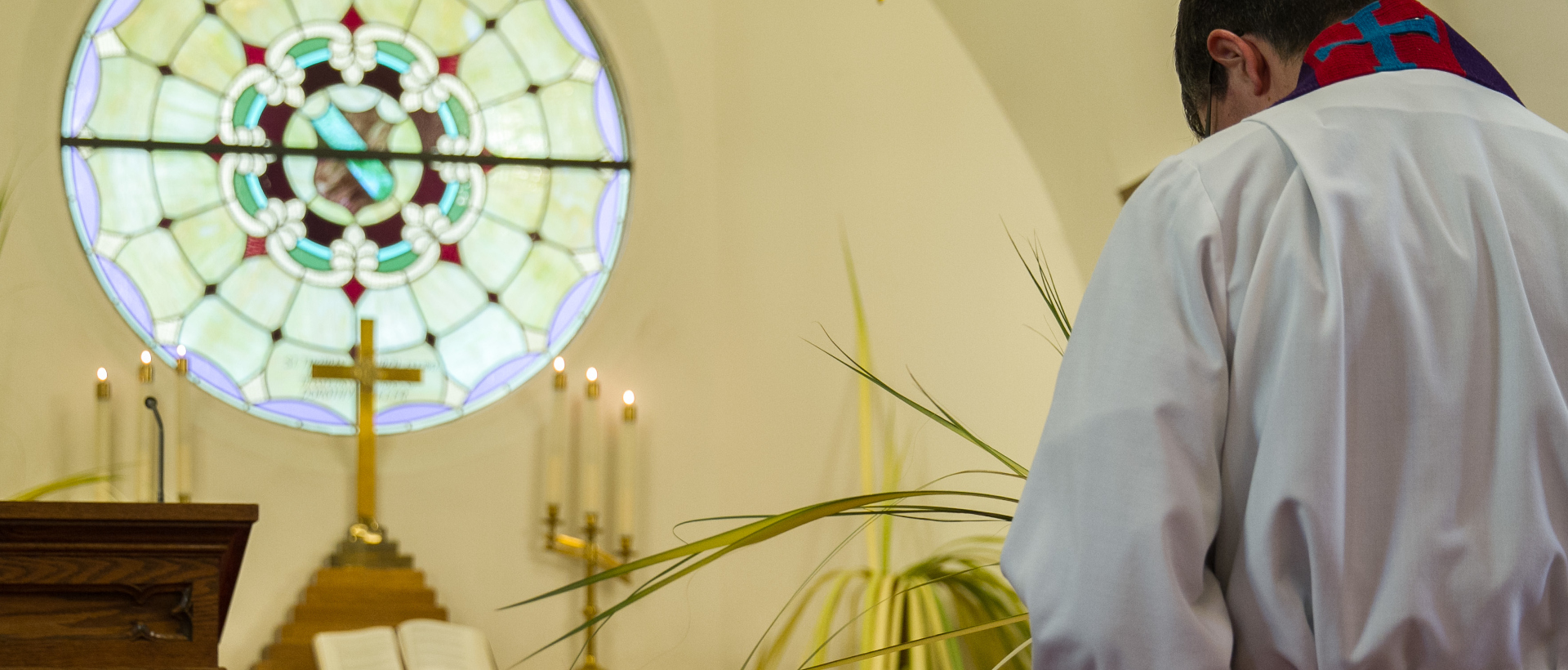 luteranismo Archives - Coalición por el Evangelio