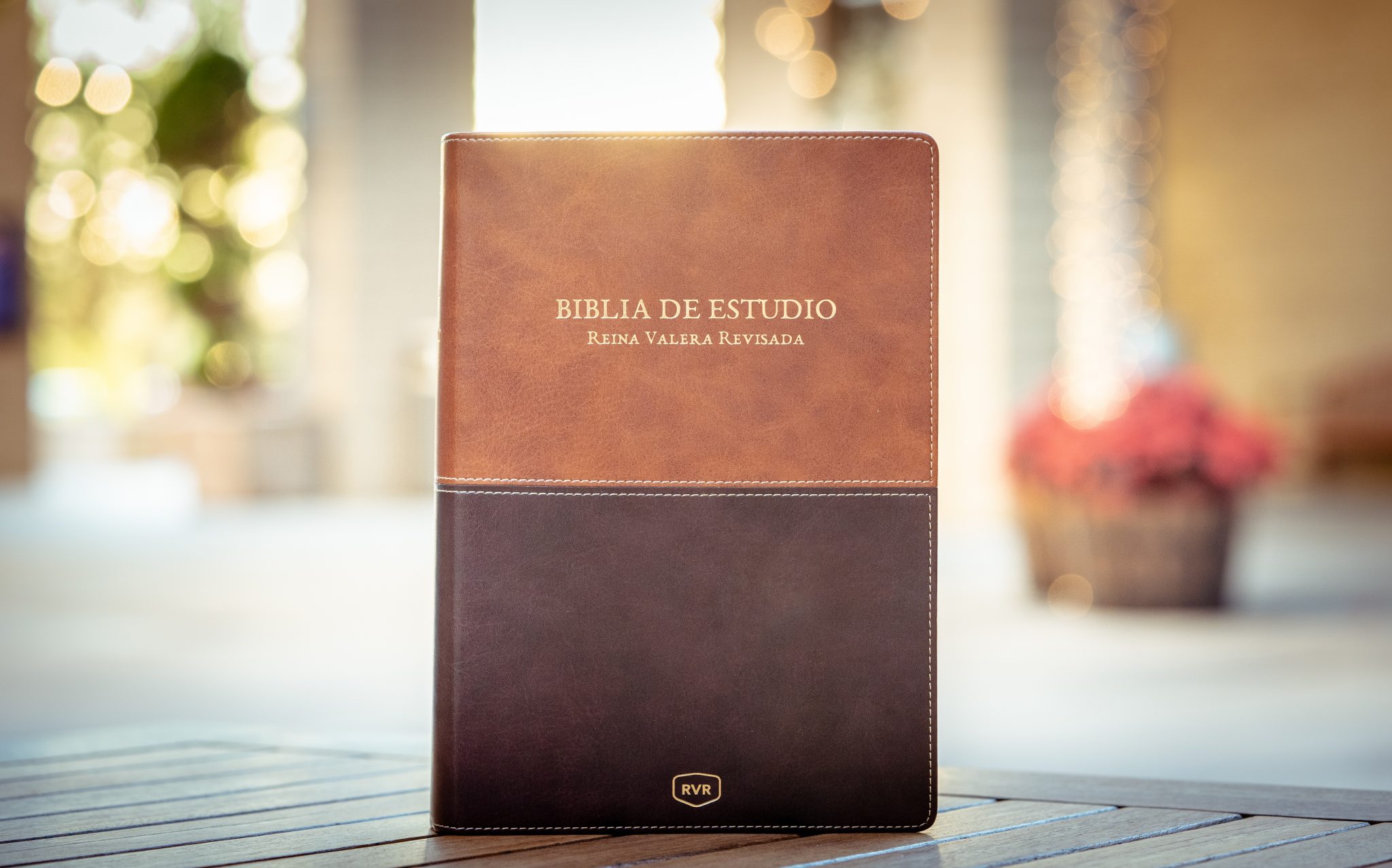 Biblia de estudio RVR | Coalición por el Evangelio
