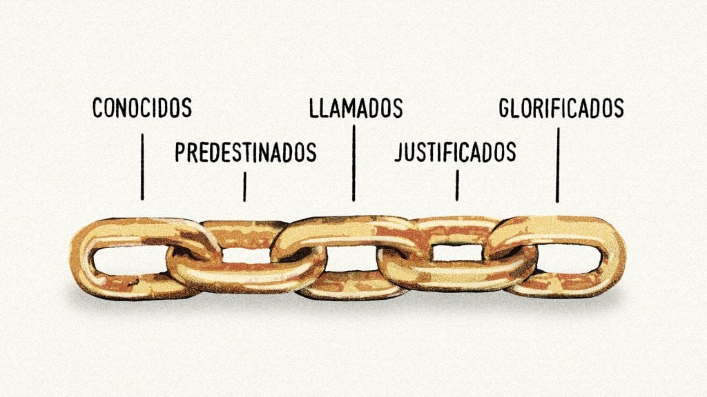 Predestinación y elección | Publicaciones y recursos | Coalición por el ...