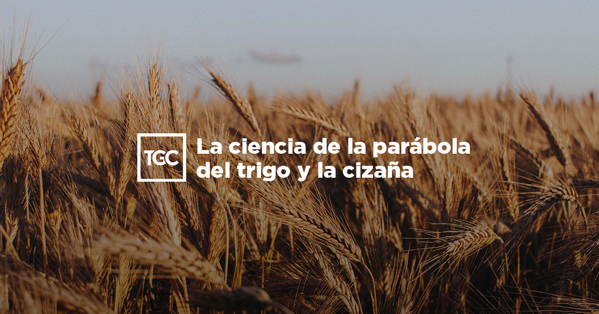La ciencia de la parábola del trigo y la cizaña | Coalición por el ...