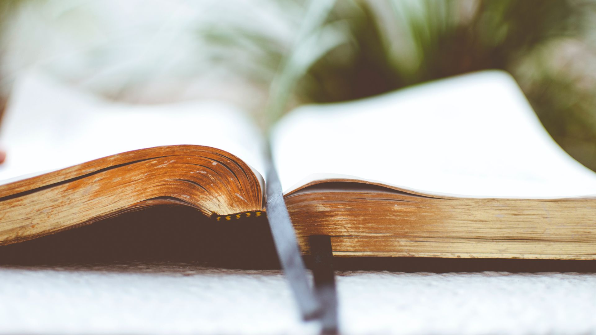 ¿El fin de la historia está cerca? | Coalición por el Evangelio