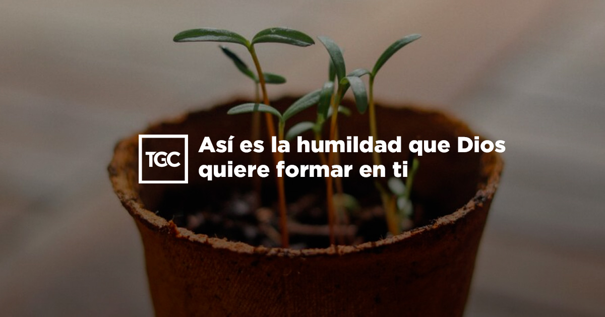 Así es la humildad que Dios quiere formar en ti | Coalición por el ...