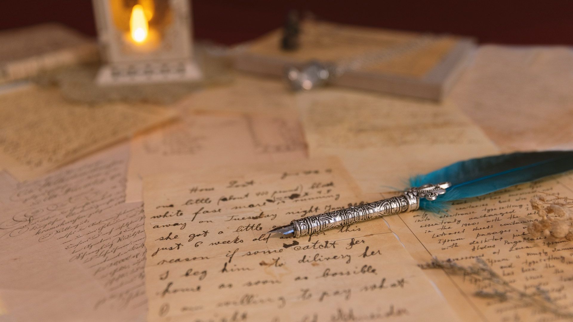 Poema: Ese verso | Coalición por el Evangelio