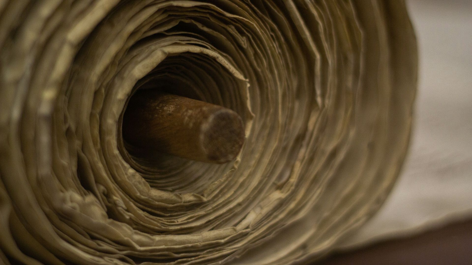 Biblia y Teología | Publicaciones y recursos | Coalición por el Evangelio