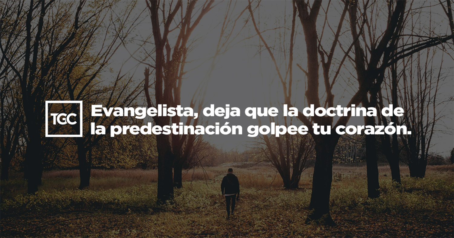 Evangelista, deja que la doctrina de la predestinación golpee tu ...