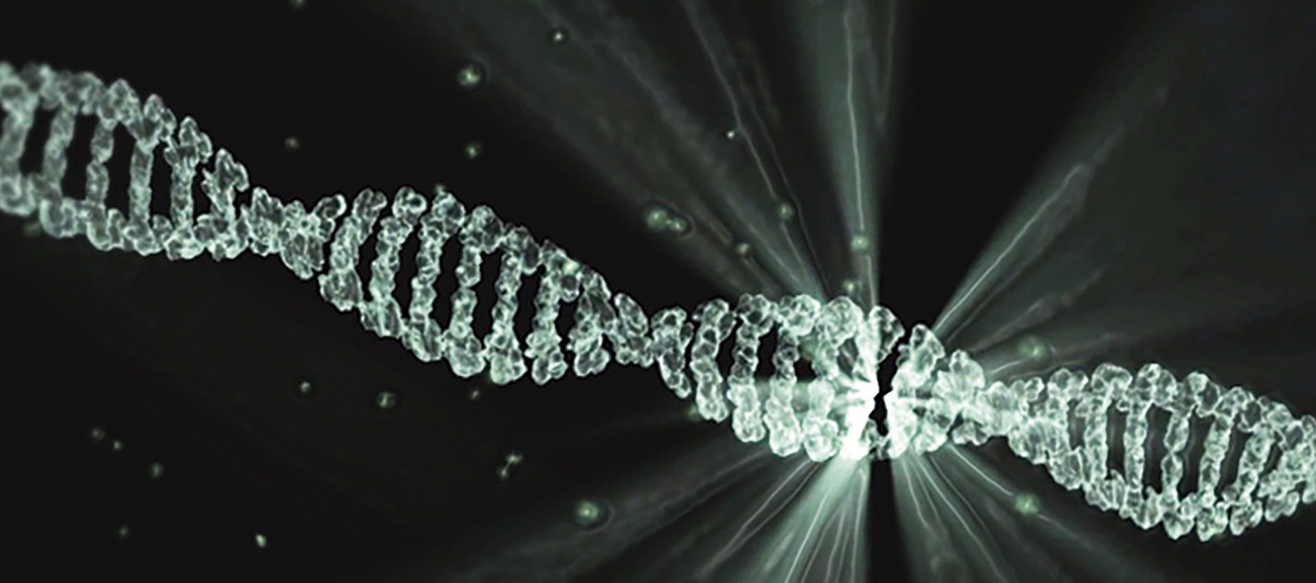 La science nie-t-elle Adam et Ève ? Entrevue avec un biologiste et un ...