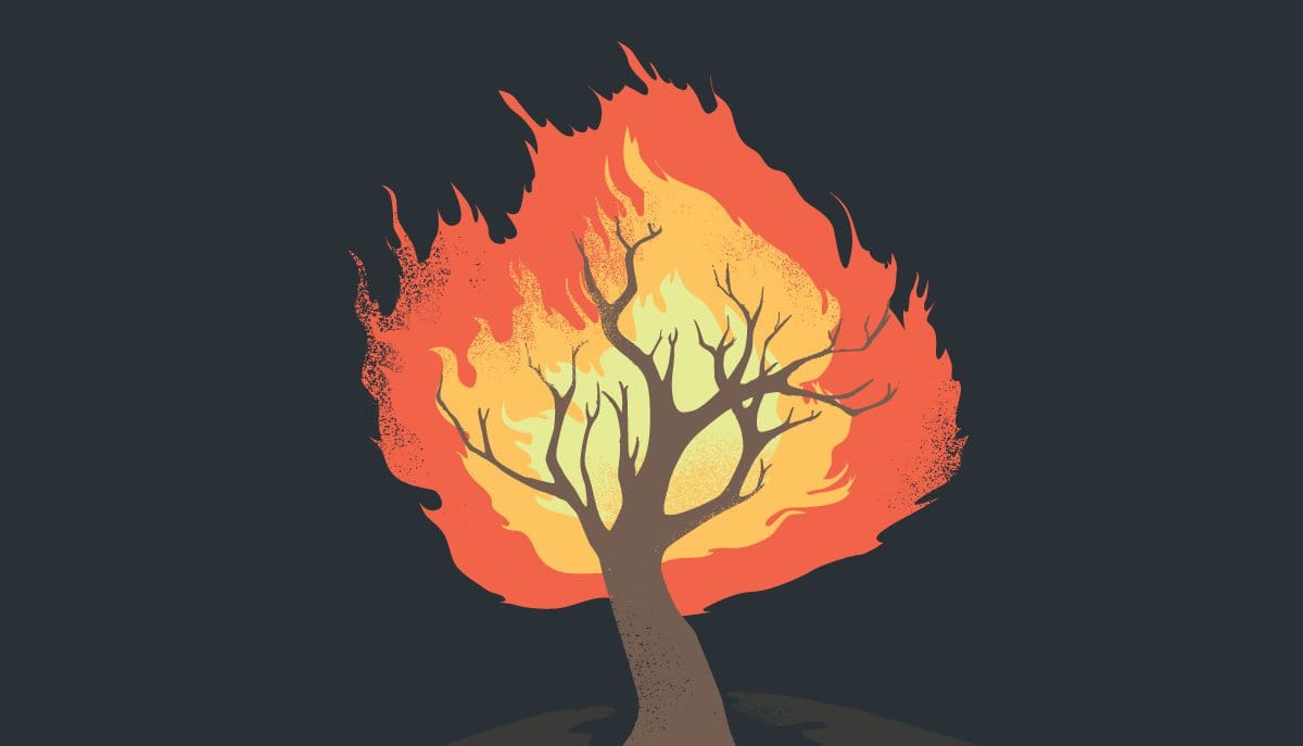 Ce Dieu ardent qui révèle sa vraie nature - Evangile 21