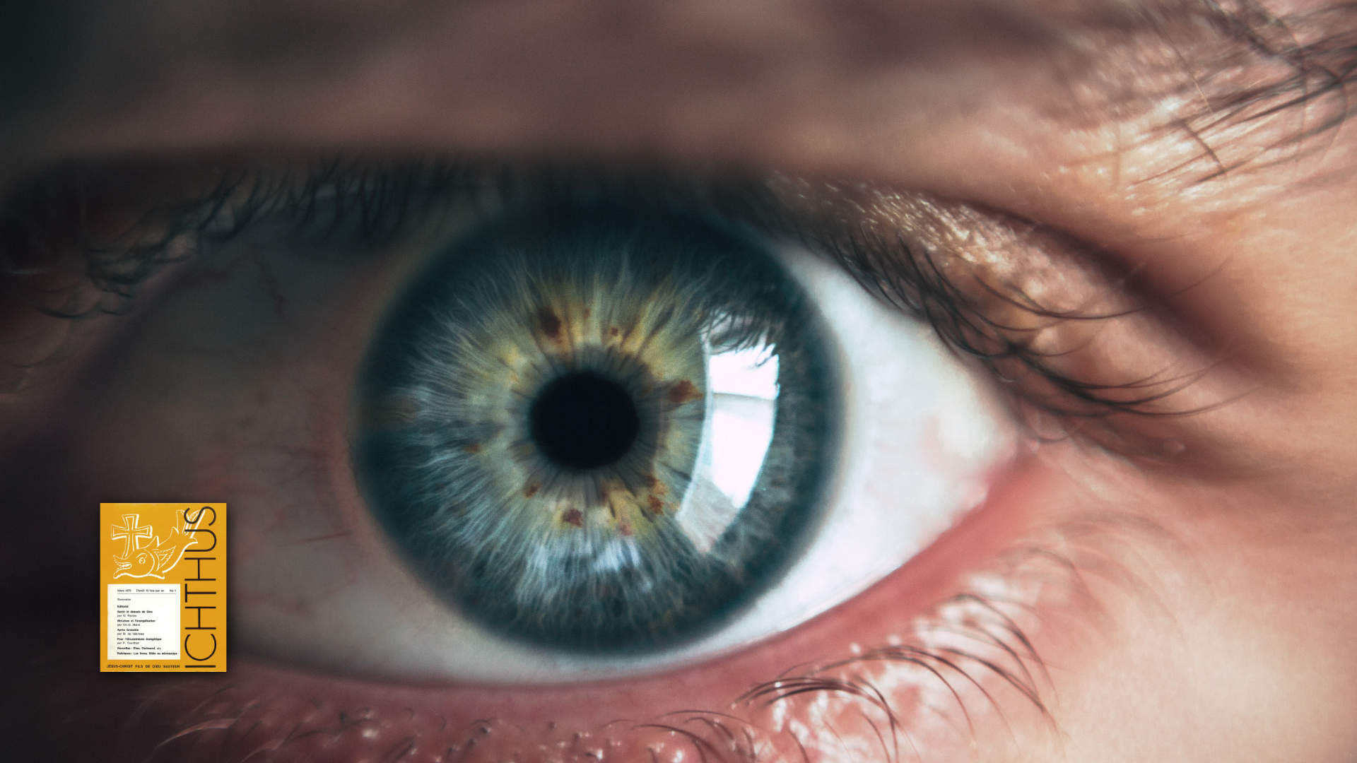 Le regard du Christ - Evangile 21